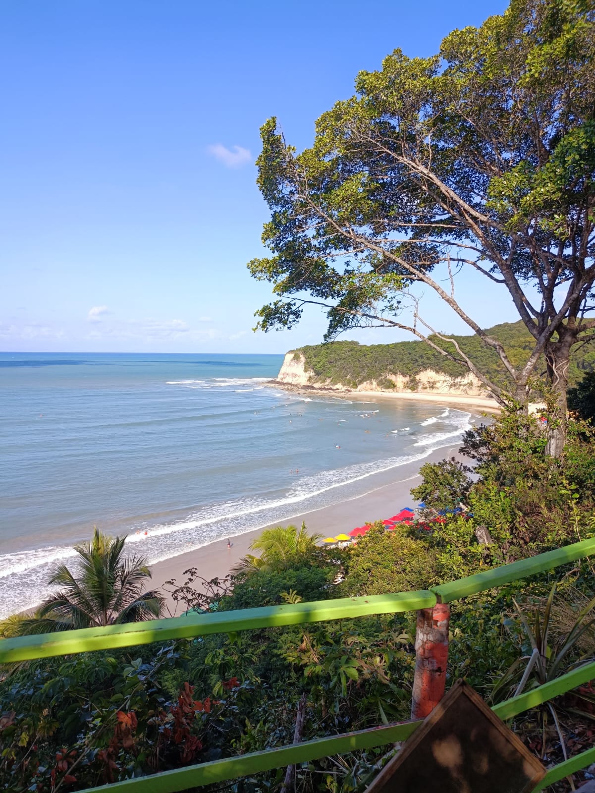 Praia de Pipa é o destino perfeito para quem quer viajar em família ou ...
