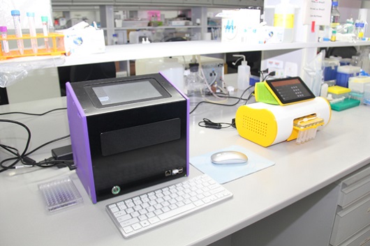 Estudo no Nordeste da Fiocruz cria nova geração de ferramentas para ...